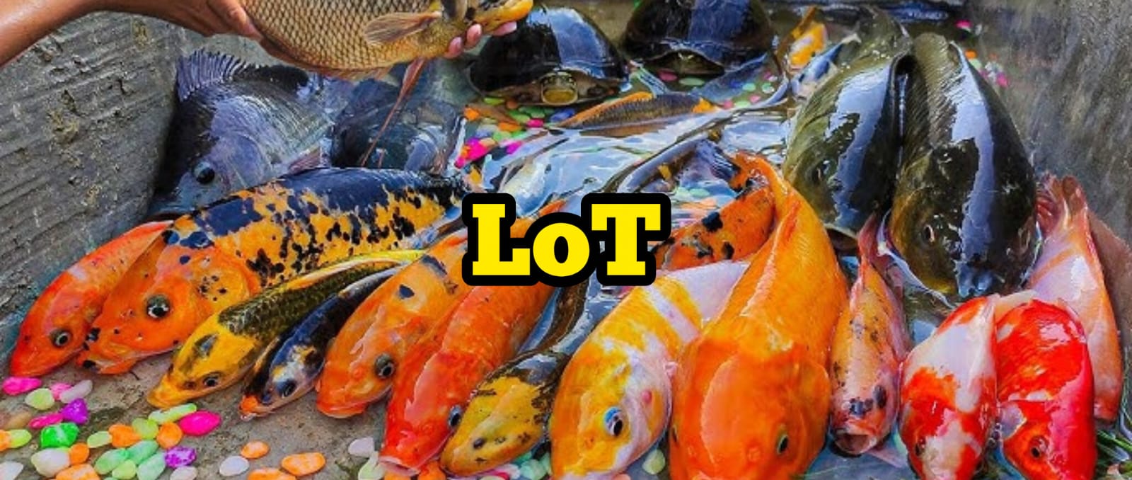 Sejarah AI, Era Turing dan Lahirnya Tes Kecerdasan Mesin - Pusat ...